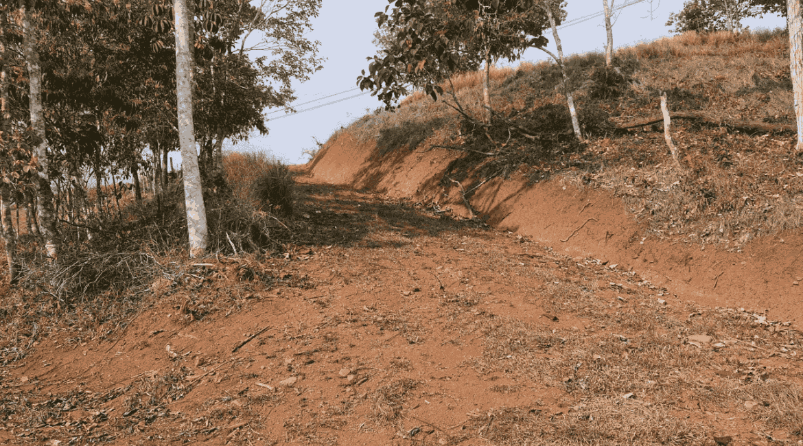 Stunning 1.5-Hectare Lot in Villanueva - Diamante Valley Properties