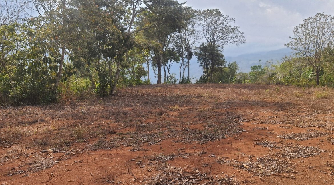 Stunning 1.5-Hectare Lot in Villanueva - Diamante Valley Properties