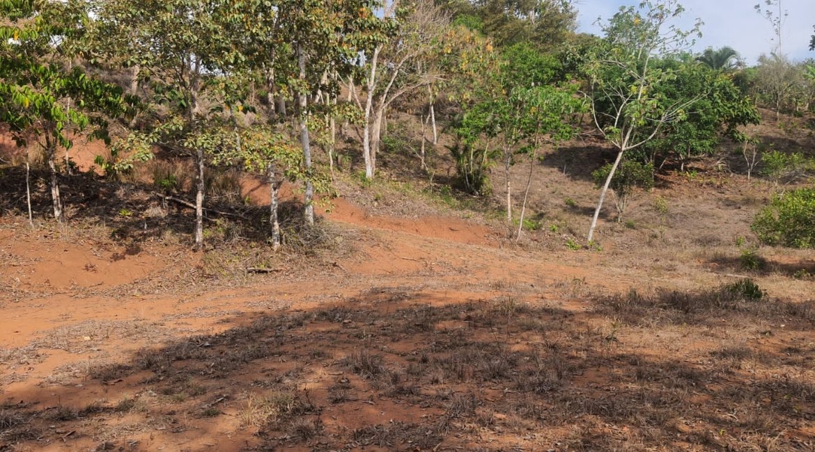 Stunning 1.6-Hectare Lot in Villanueva - Diamante Valley Properties