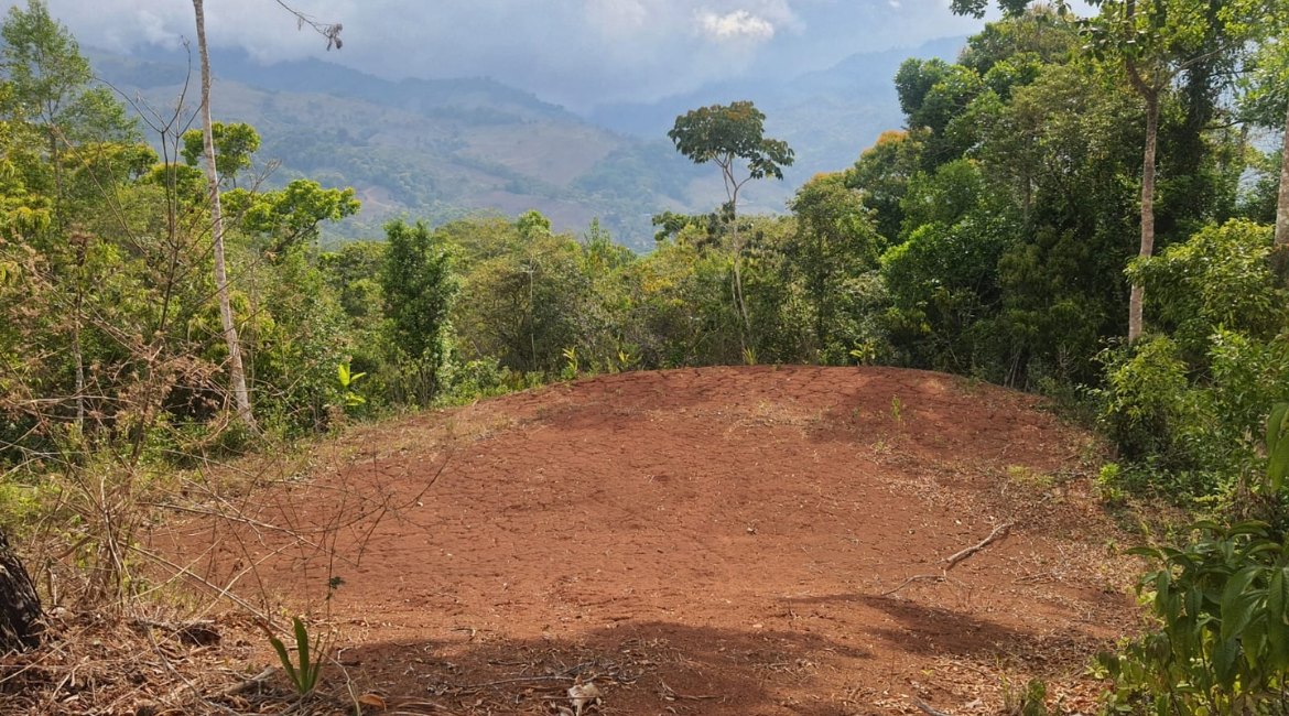 Stunning 1.6-Hectare Lot in Villanueva - Diamante Valley Properties